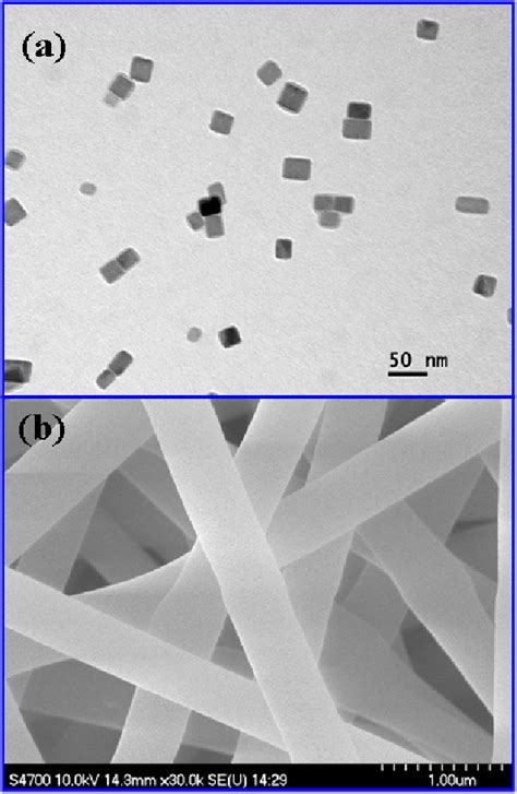A Tem Image Of Nayf 4 005tb·005ce Nanoparticles B Sem Image Of Download Scientific