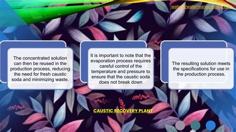 Caustic Recovery Plantspdf