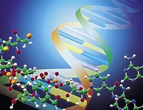 What Is The Theory Of Polymer Blend Modification Coace Plastic