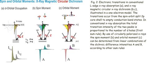 Soft X Ray Magnetic Dichroism