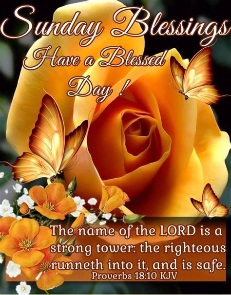Sunday Blessings