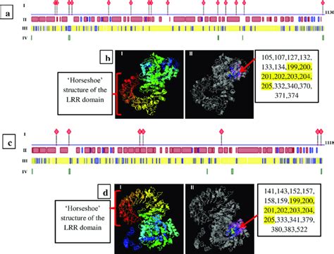 In Silico 3d Structure Protein And Nucleotide Binding Site Prediction