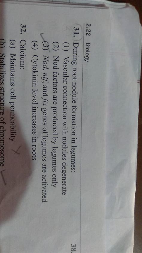 2 22 Biology 31 During Root Nodule Formation In Legumes Filo