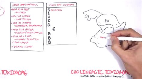 Cholinergic And Anticholinergic Toxicity Toxidrome Youtube