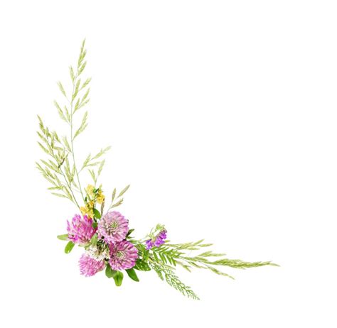 Flowers Fram Composed Of Wildflowers And Grass Photo Background And