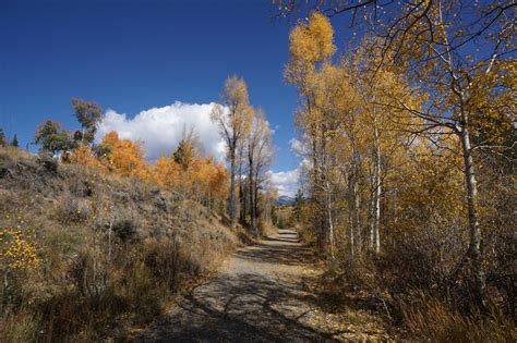 Ruby Gulch Go Hike Colorado