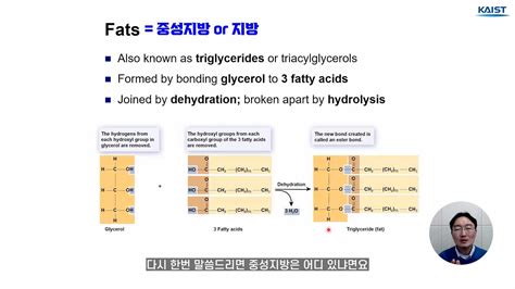 생명과학의 정수 1 지질의 구조와 특징 Edwith