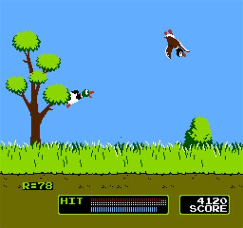 Got This Weird Copy Of Duck Hunt That Came With What I Can Only Assume