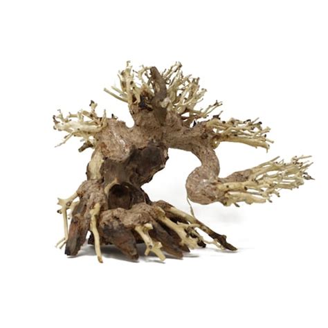 Aquarium Bonsai Driftwood Moss Tree AS Bonsai Moss Tree Etsy