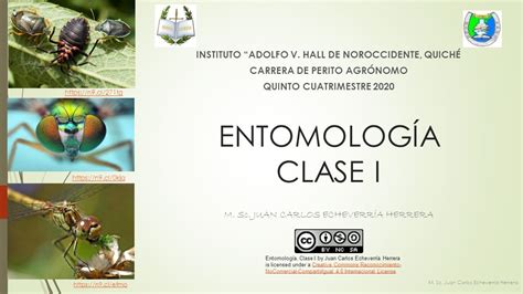 ENTOMOLOGÍA CLASE I INSTITUTO “ADOLFO V. HALL DE NOROCCIDENTE, QUICHÉ CARRERA DE PERITO AGRÓNOMO ...