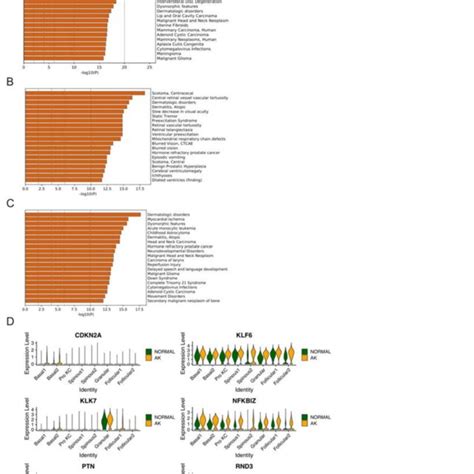 Identification Of Malignant Basal Subpopulation In Sccis Download