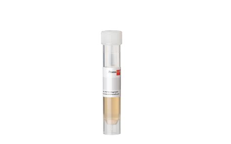 Endothelial Cell Growth Supplement