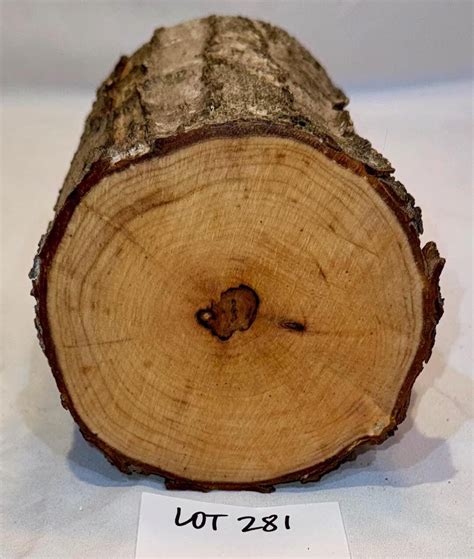 Red Maple Craft Log Green Project Wood For Wood Working Wood Turning