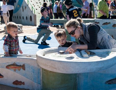 Rotary Playgarden All Inclusive Phase Pgadesign
