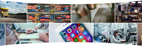 About Tms Consulting Sap Gold Partner For Business Excellence