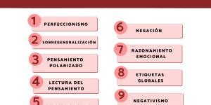 20 Habilidades cognitivas qué son tipos lista y ejemplos