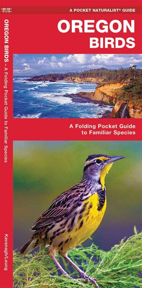 Oregon Birds A Folding Pocket Guide To Familiar Species Friends Of