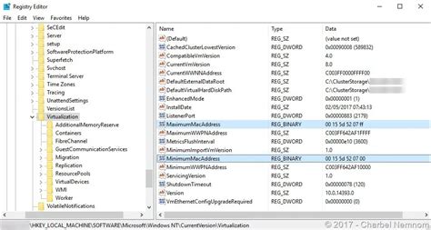 No Available MAC Address For Dynamic Network Adapter In WindowsServer