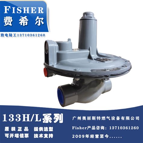 美国进口Fisher费希尔133H DN50 NPT天然气稳压调压器 参数 价格 仪器信息网