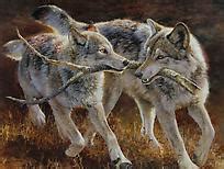 Bonnie Marris Immersed In The Wild Exhibitions Trailside Galleries