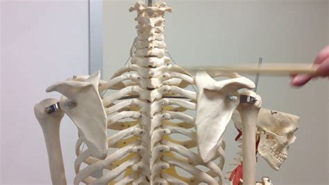 Week 4 Part 4 Youtube