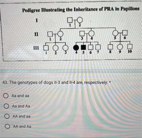 Solved Pedigree Illustrating The Inheritance Of Pra In