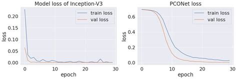 Training And Validation Loss Of Inceptionv3 Left And Pconet Right