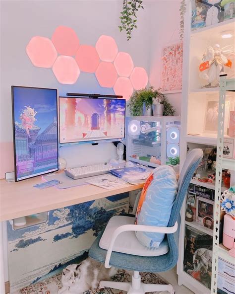 A Computer Desk With Two Monitors And A Cat Laying On The Floor
