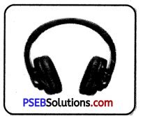 PSEB 6th Class Computer Notes Chapter 8 Output Devices PSEB Solutions