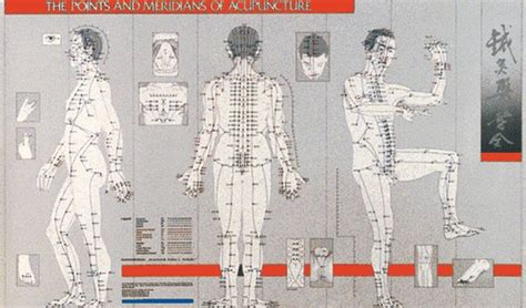 The 8 Extra Extraordinary Meridians Chart Clinical Charts And Supplies