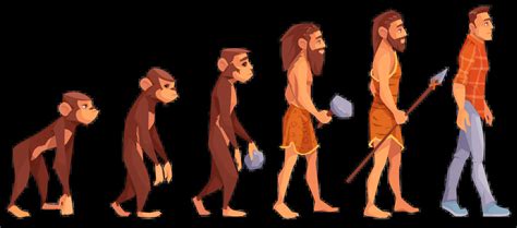 Introduction To Anthropology Crash Course Anthroholic