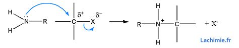 Amines Mécanismles Réactionnels Et Réactivité