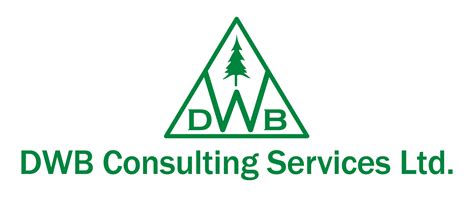 Dwb Consulting Services Ltd Cai Capital Partners