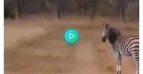 be faster next time album on imgur