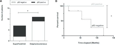P63 Expression Correlates With Patient Outcome A Lack Of P63