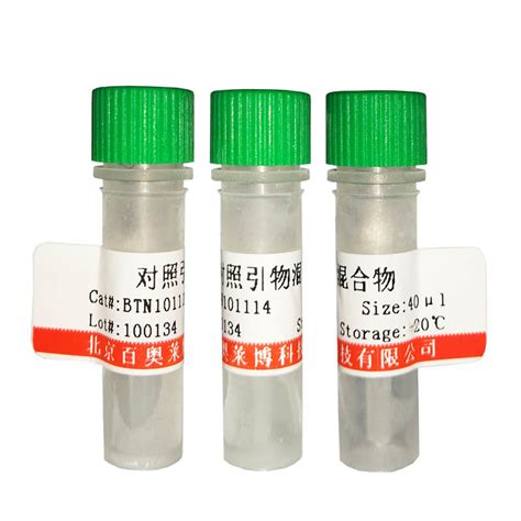 Dnase Rnase Free