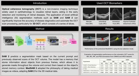 Sam Oct Segmentation Mikhail Kulyabin