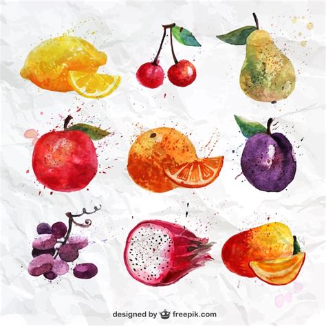 Colección De Frutas Pintadas A Mano Vector Gratis