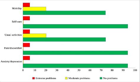 Eq 5d 3l Responses Of The 15 Patients Download Scientific Diagram