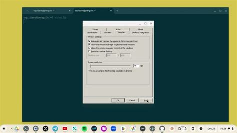 How To Run Windows Programs Or Exe Files Using Wine On Chromebook Dignited