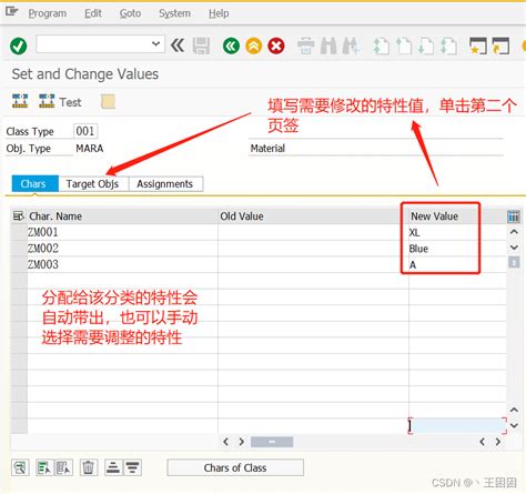 Sap Mm 批量修改物料特性clmm初探sap 批量更改物料描述 Csdn博客