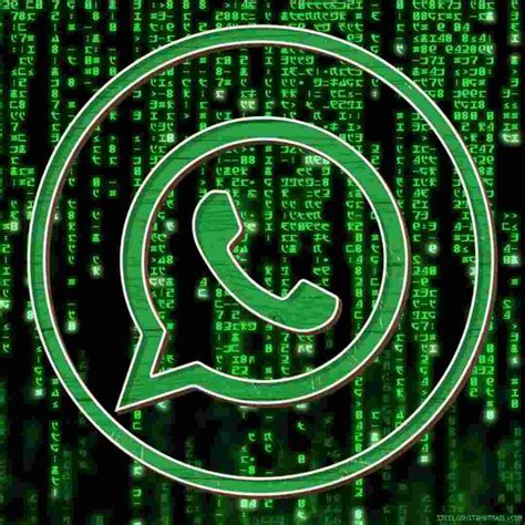 License · Main · Dalembert Villacorta Pacaya Payunga Resurrection · Gitlab