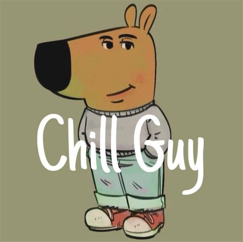 Chill Guy 뜻과 의미 요즘 밈 알아가기 일상 속 행복을 찾는 해삐스