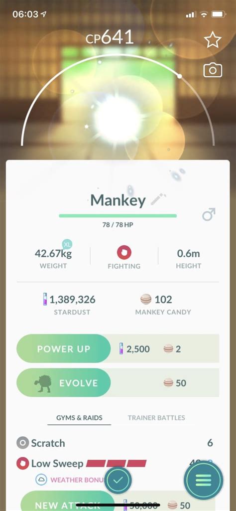 Weird Rendering Issue Roculusquest