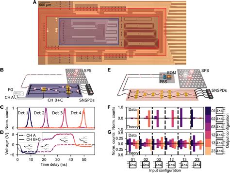 High Speed Thin Film Lithium Niobate Quantum Processor Driven By A