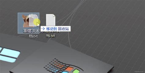 最近很火的猫猫回收站设置详细教程分享 Csdn博客