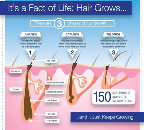 Laser Hair Removal Wisconsin Laser Center