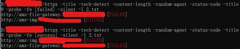Why Is It That When Using The Flag Fe Command With Different Regular