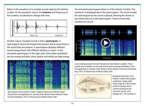Dositsbook2 Image1 8 Discovery Of Sound In The Sea
