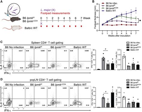 Inositol Polyphosphate Multikinase Regulates Th1 And Th17 Cell